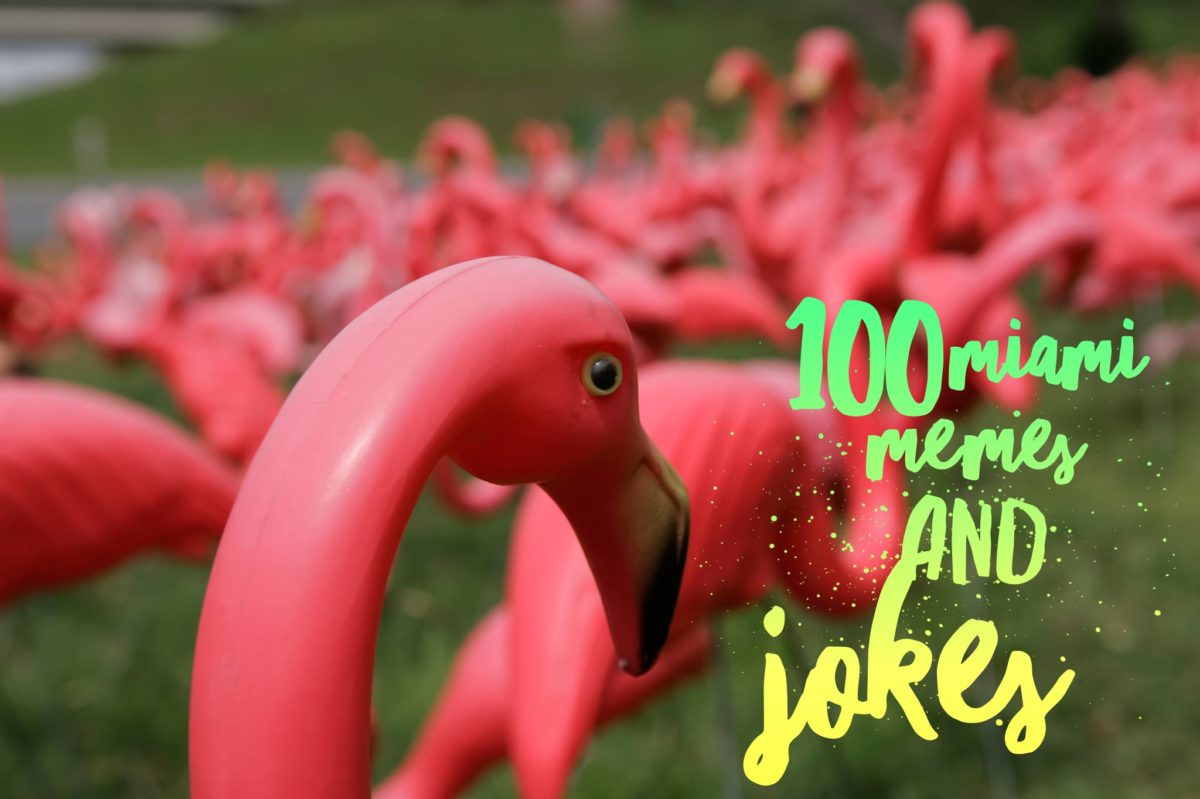 100 Miami Memes and Jokes - Miami Comedy