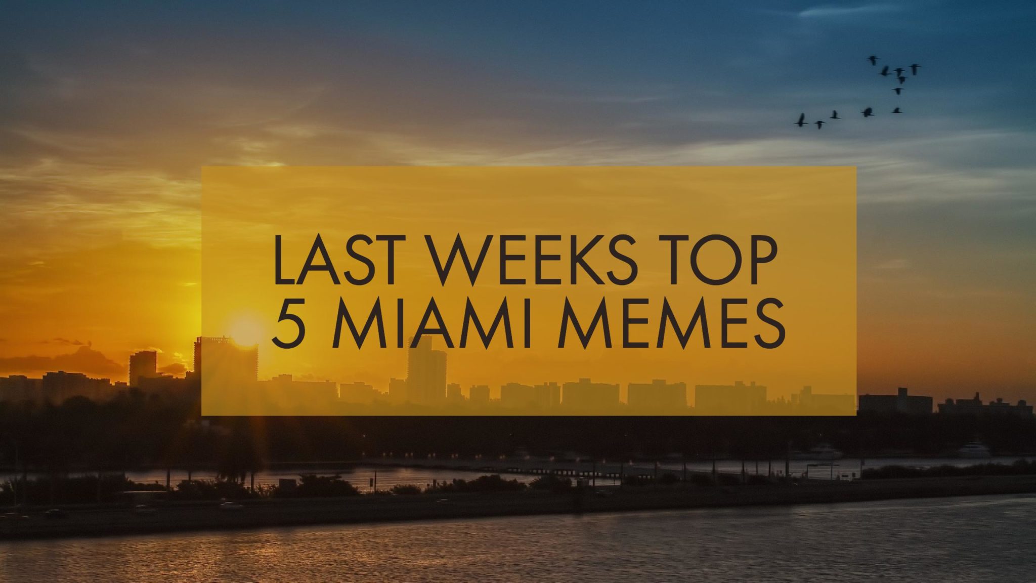 Last Weeks top 5 Miami Memes - Miami Comedy